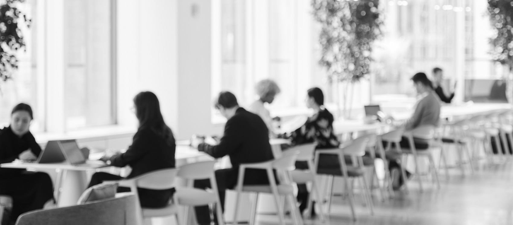 About Us - Prosek Partners