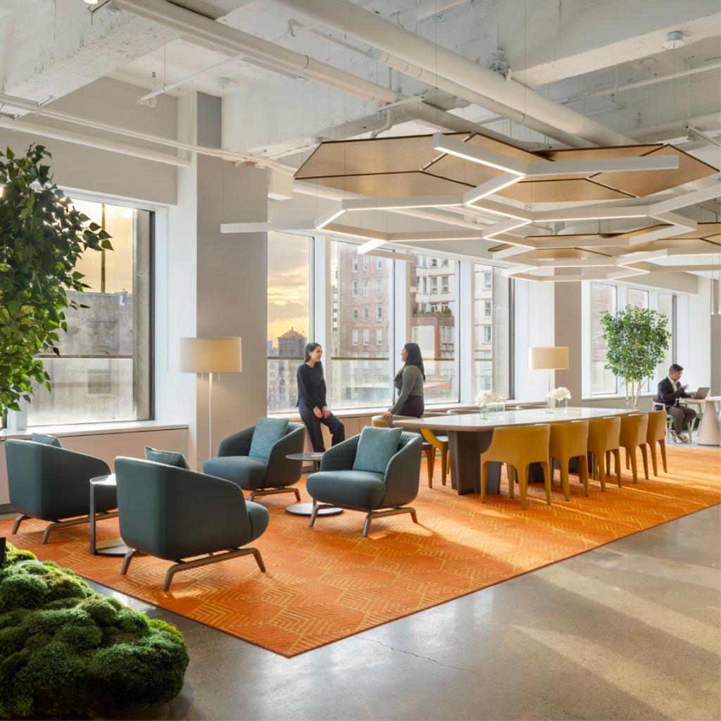 Contact Us - Prosek Partners