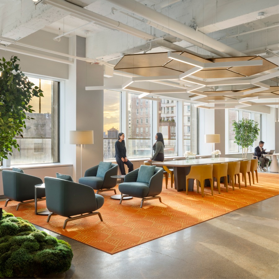 Contact Us - Prosek Partners