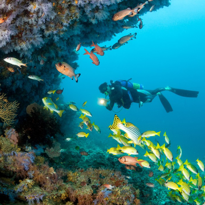 Encouraging Life in Explorer Mode - Prosek Partners