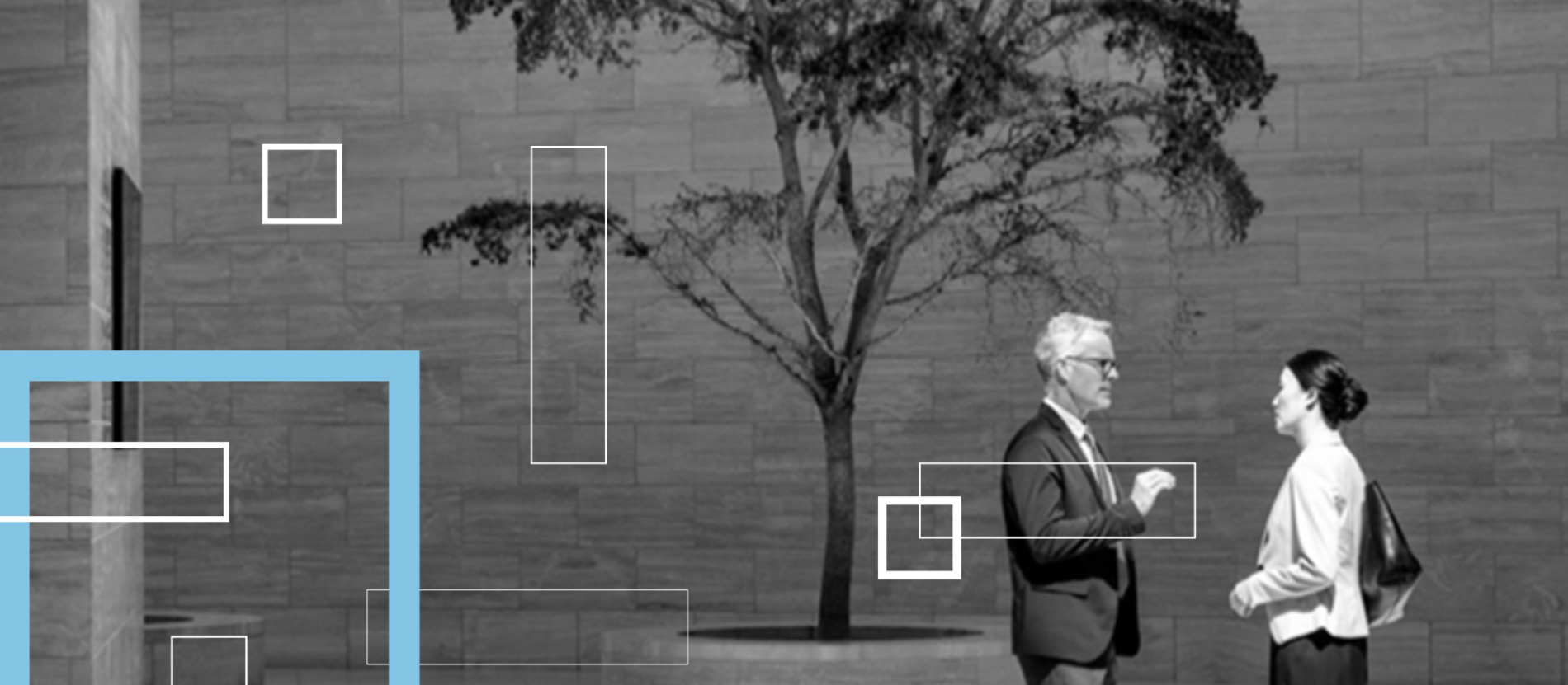 Make The Connection - Prosek Partners